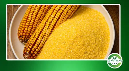 Receita de angu mineiro com sabor tradicional